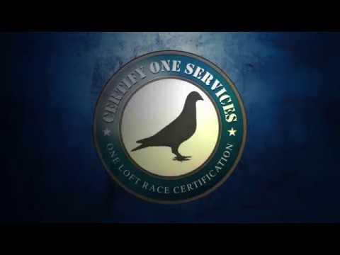 Certify One Services