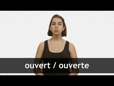 English Translation of “OUVERT” | Collins French-English Dictionary