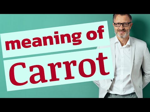 Carrot | Meaning of carrot