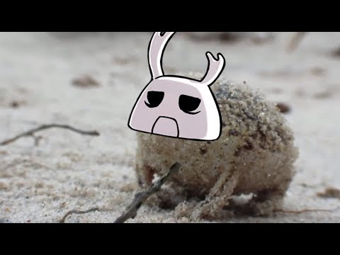 Steam Community :: Video :: Angry Squeaking Zote.
