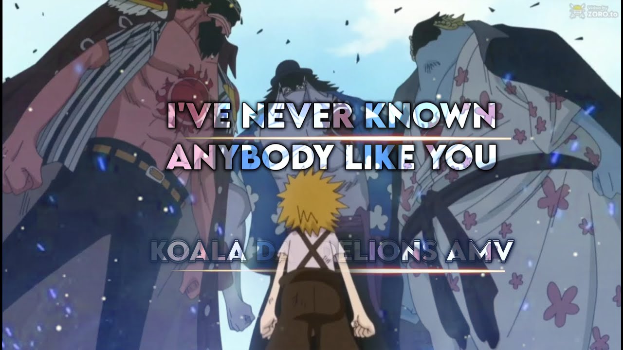 One Piece | koala [amv]