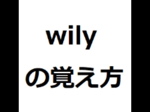 wilyの覚え方 #英検1級 #英単語の覚え方 #TOEIC