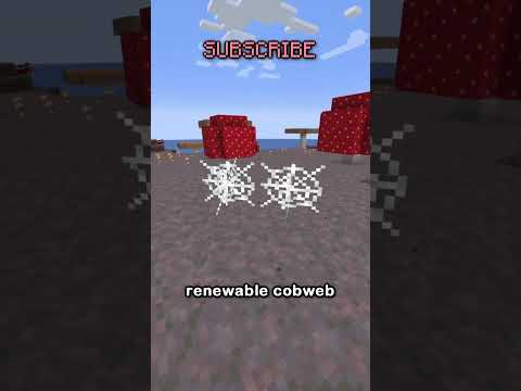 NEW POTIONS IN MINECRAFT