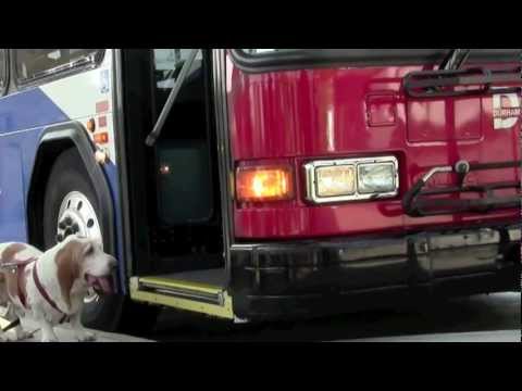RUSSELL the PUBLIC INVESTMENT SUPER HOUND.mov