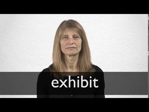 EXHIBIT Synonyms | Collins English Thesaurus
