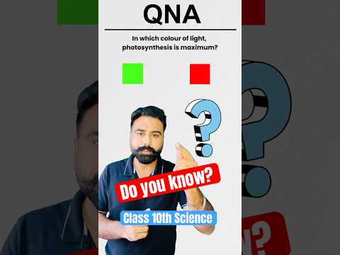 Green vs Red Light – Which is Better for Photosynthesis? 🌿 | Explained in Punjabi | Class 10th Sci.