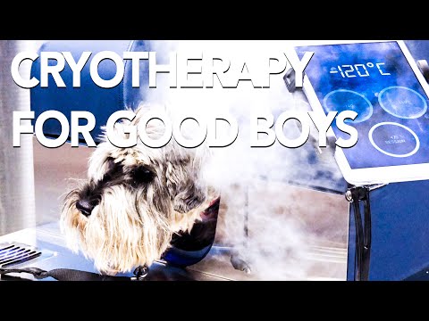 Cryotherapy Machine - Manufacturers & Suppliers in India