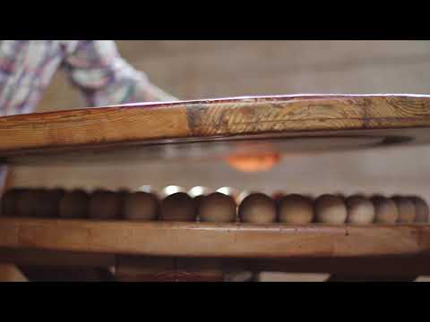 Sons of Sawdust - Coffee Tasting (Cupping) Table