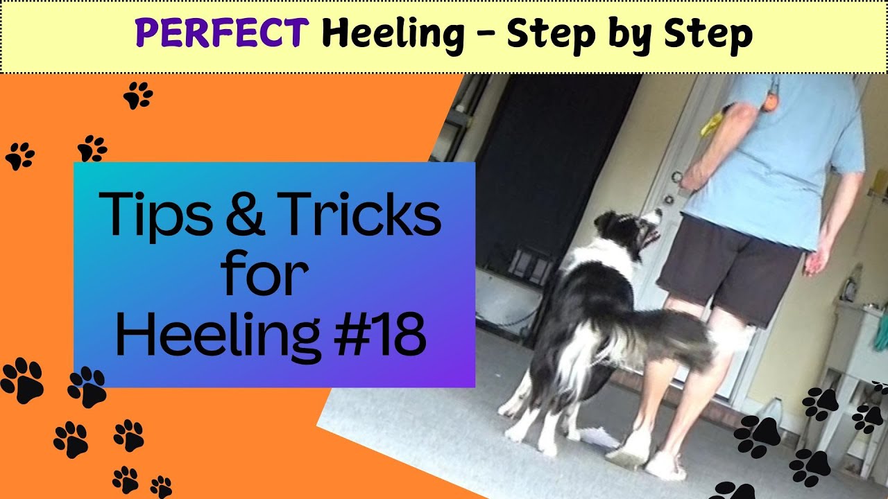 Heeling Tips & Tricks #18 REA Move To Ground - DebbyQuigley.com