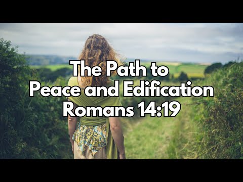 The Path to Peace and Edification - Romans 14:19 - Daily Devotion - Daily Bible Verse