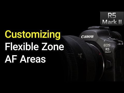 Canon R5 II: Settings for wildlife photography