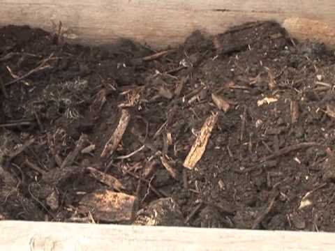 Videos - Composting: How Long Does it Take?