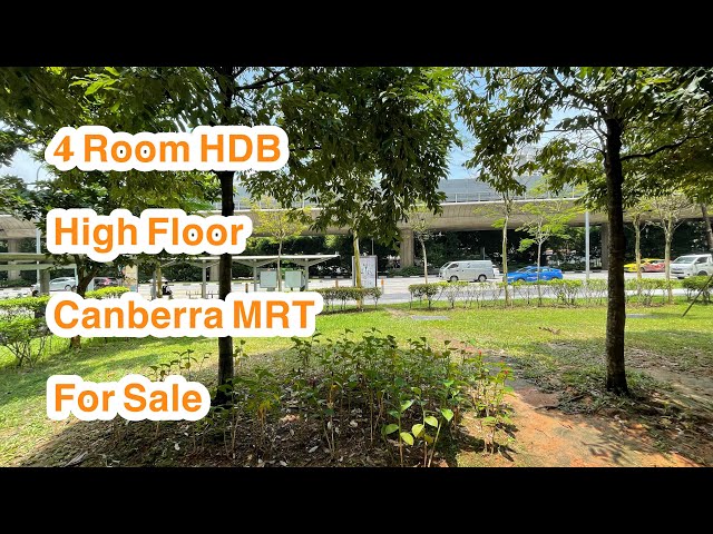115D Canberra Walk HDB Flat for Sale - 1,001 sqft | 99.co