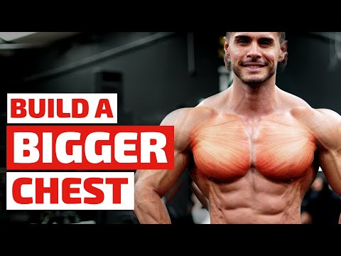 How to Build a Bigger Chest - Science Based.