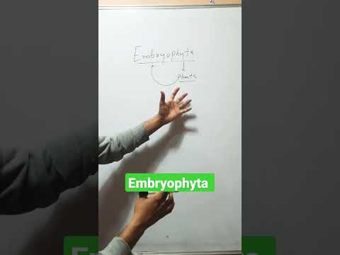 Embryophyta