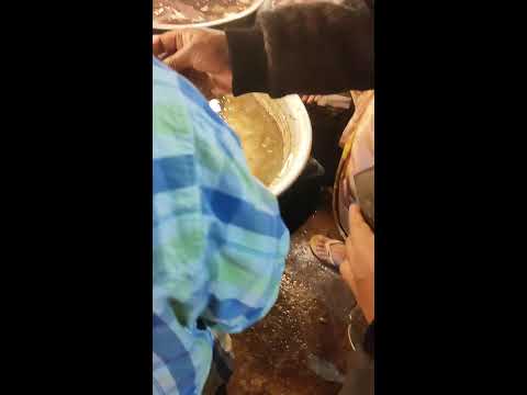 What's the BEST Way to Cook Fish in Bengali Style?