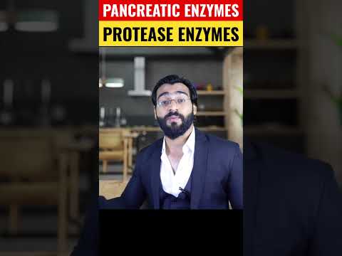 Function of Protease Enzyme