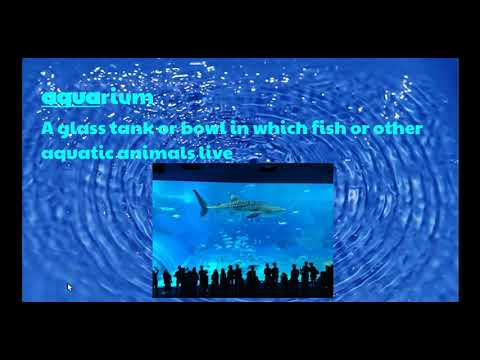 Greek/Latin Roots - aqu/aqua