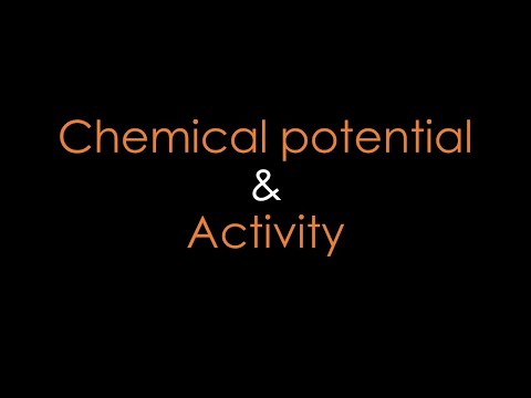 Chemical potential and Activity