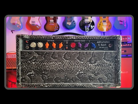 Amplified Nation Ampliphonix and Gain 2023 - Black Croc Tolex | Reverb