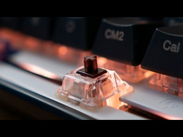 The best Cherry switches for you: Use case, features, and more