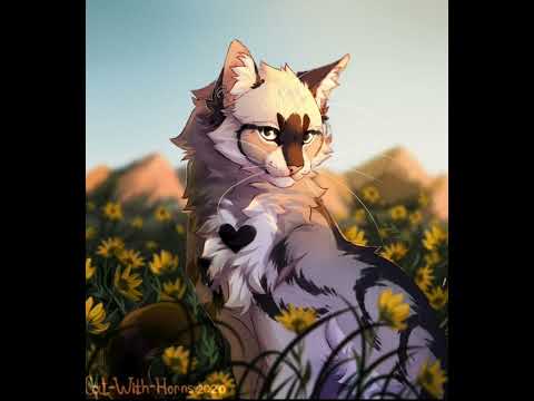 Warrior Cat Generator! (Name, fur, eyes, role, how you die ect.)