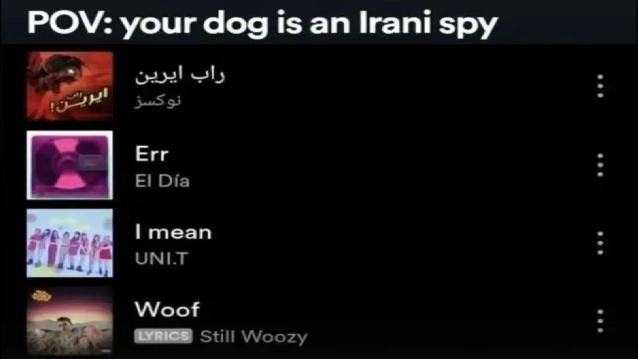 Spotify Playlists that form funny little stories