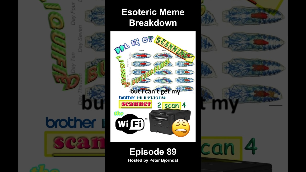 Esoteric Meme Breakdown Episode 89: people be ct scanning liquified butterflies