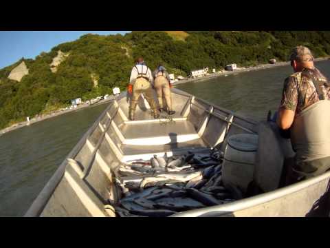 Commercial Salmon Fishing In Cook Inlet Alaska