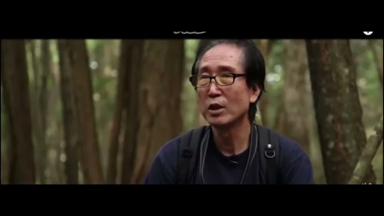 Inside Aokigahara: The Chilling Mysteries of Japan’s Suicide Forest