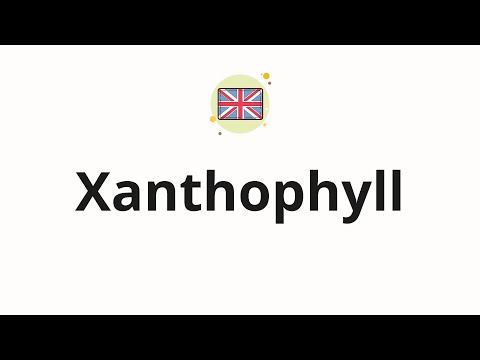 How to pronounce Xanthophyll