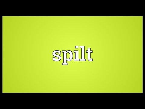 Spilt Meaning