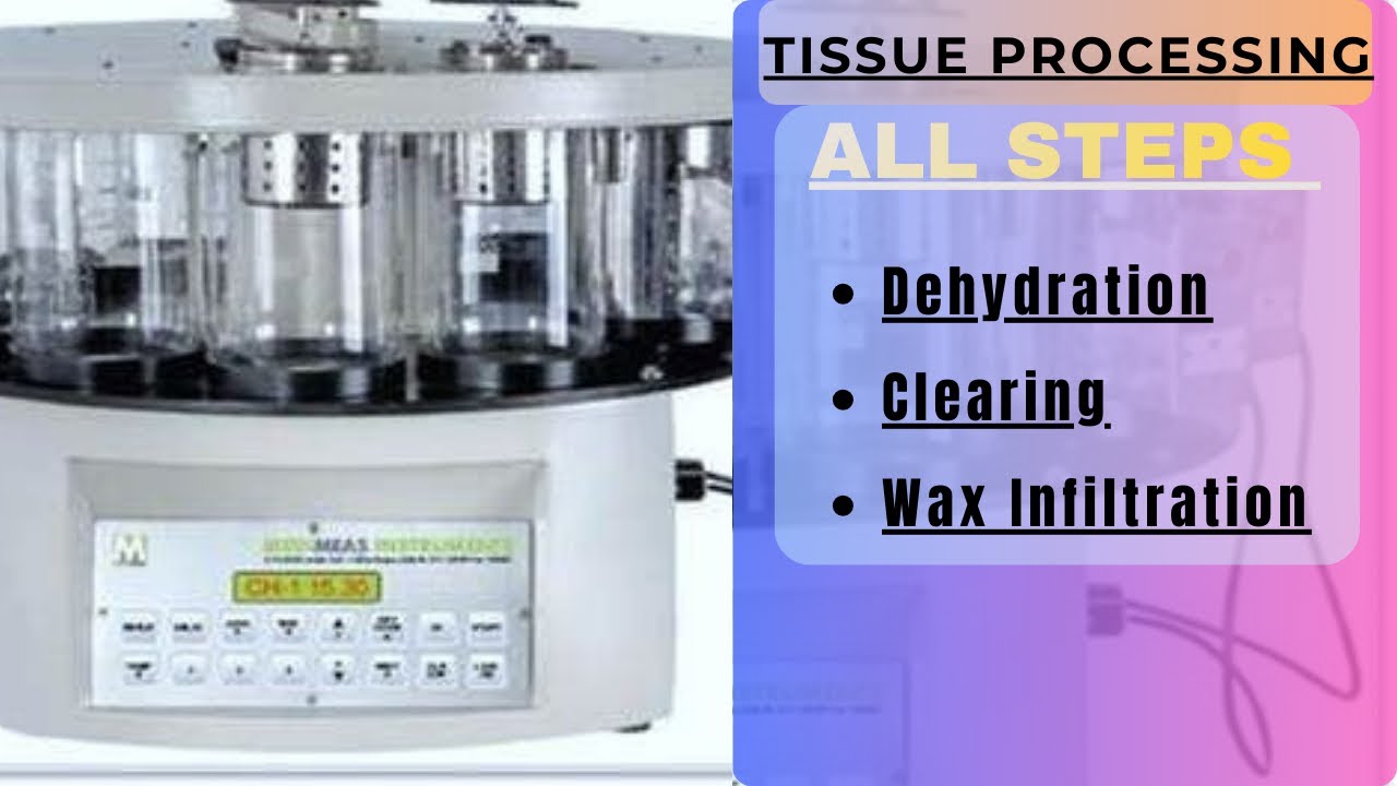 Tissue Processing (Histopathology) – All Steps Explained (Fixation to embedding)