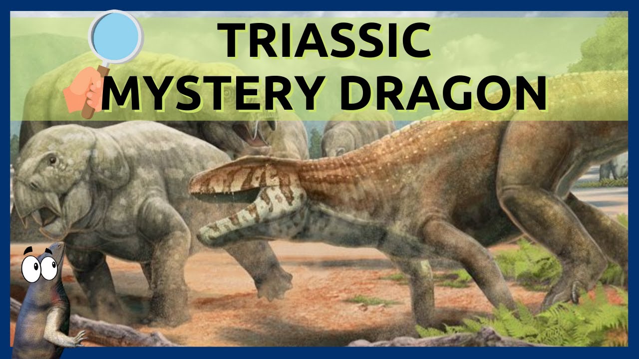 Triassic Mystery Dragon (Smok wawelski)