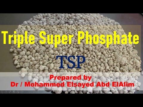 Triple Superphosphate at Best Price in India