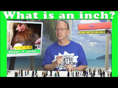 What is an inch | Learn about inches | Ruler Measurement for Kids | Estimation