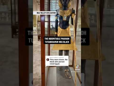 WERE THE PHARAOHS OF ANCIENT EGYPT BLACK? Ofcourse #africa #history #ancientegypt #egypt #netflix