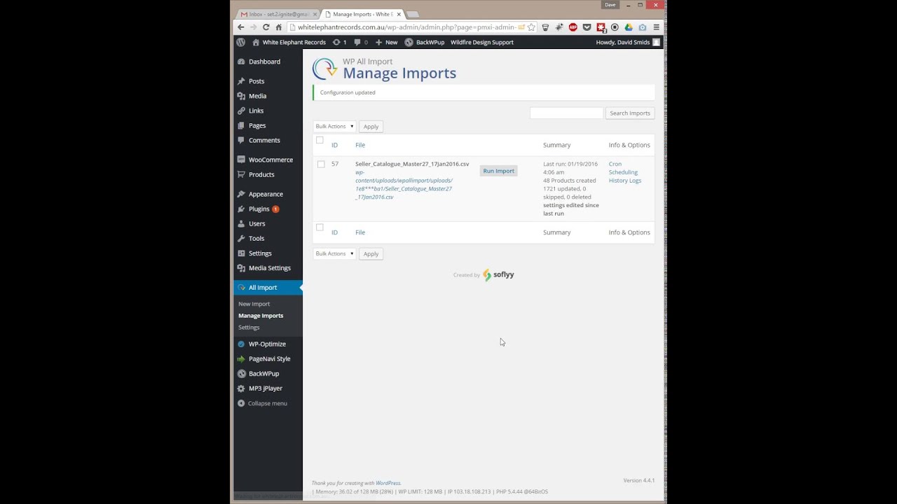WP ALL Import - updating the catalog