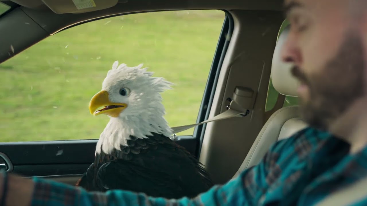 Feathers a Flyin' — Marathon Fuel