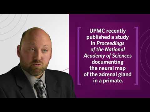 Mind/Gut Connection | UPMC Video Rounds