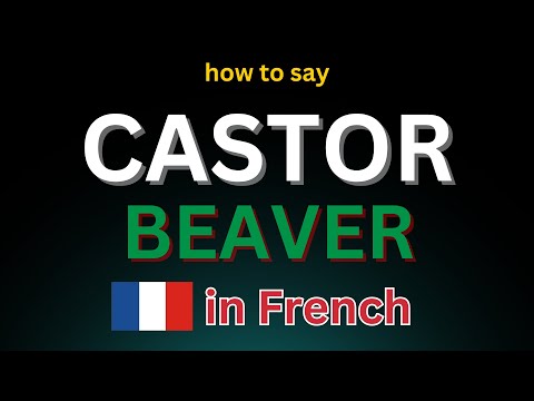 Learn How to Pronounce 'Beaver' in French! Correctly (Animal -Castor)