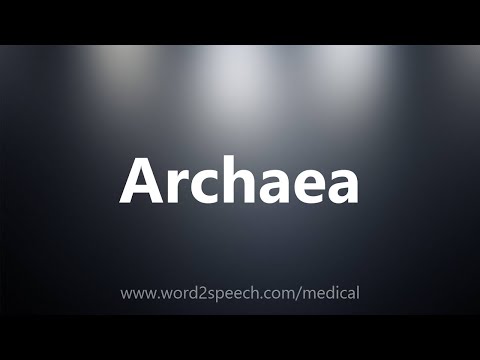 Archaea - Medical Meaning