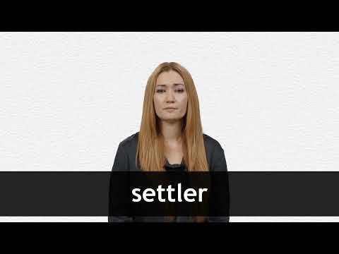 SETTLER definition and meaning | Collins English Dictionary