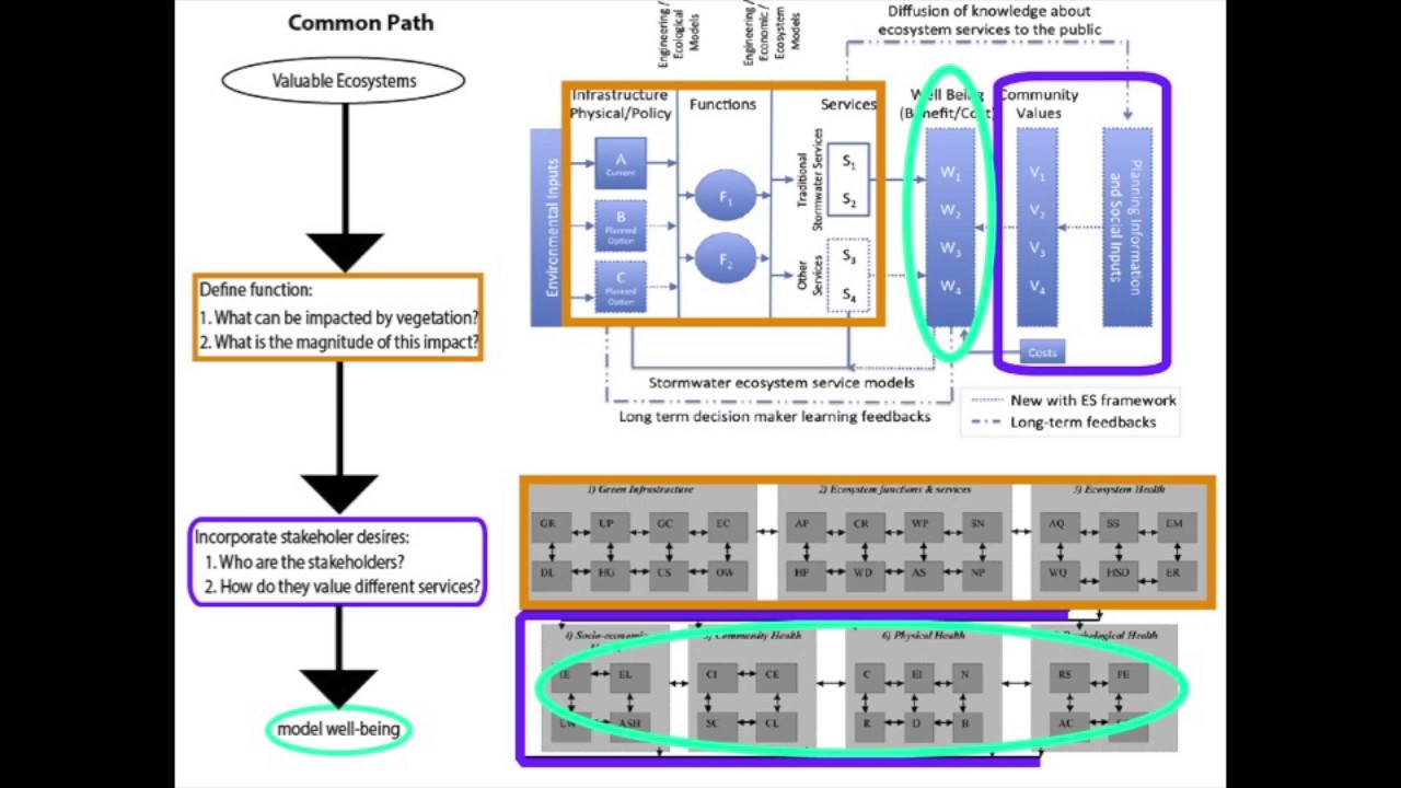 Evaluating Expert Opinion of the Ecosystem Services Provided by Green Infrastructure