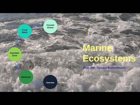 Marine Ecosystems