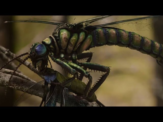 Así era el colosal insecto que dominó la Tierra antes que los dinosaurios