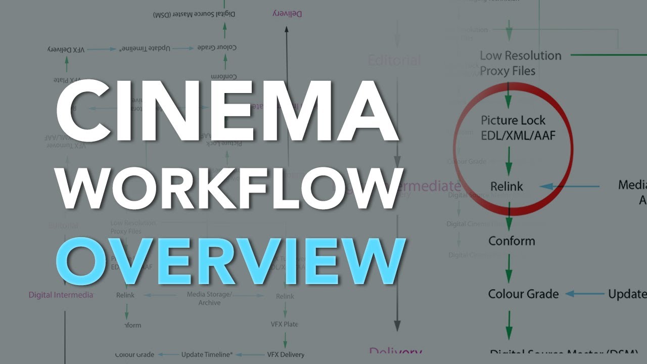 Cinema Workflow Overview - PDF Guide