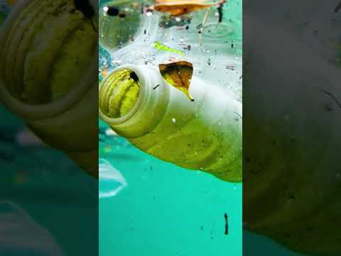 #NAST#Microplasticsresearch#nast#science#technology#researchers