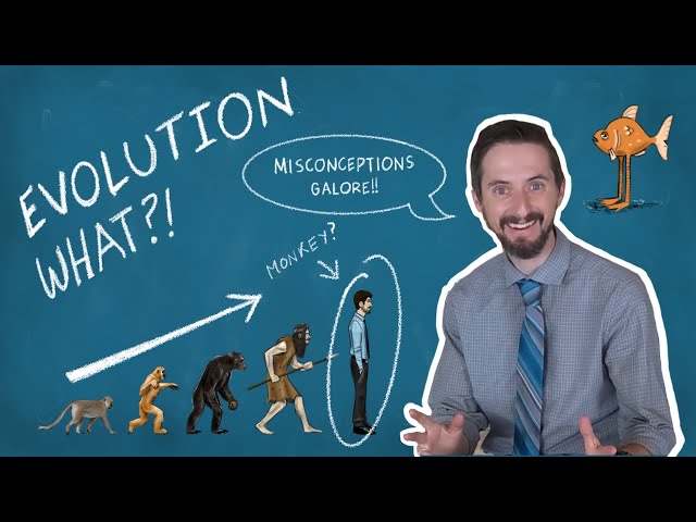 Top 5 Misconceptions About Evolution Explained | Galaxy.ai | Galaxy.ai