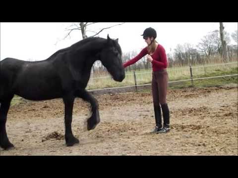 'I Believe in You' [HD]